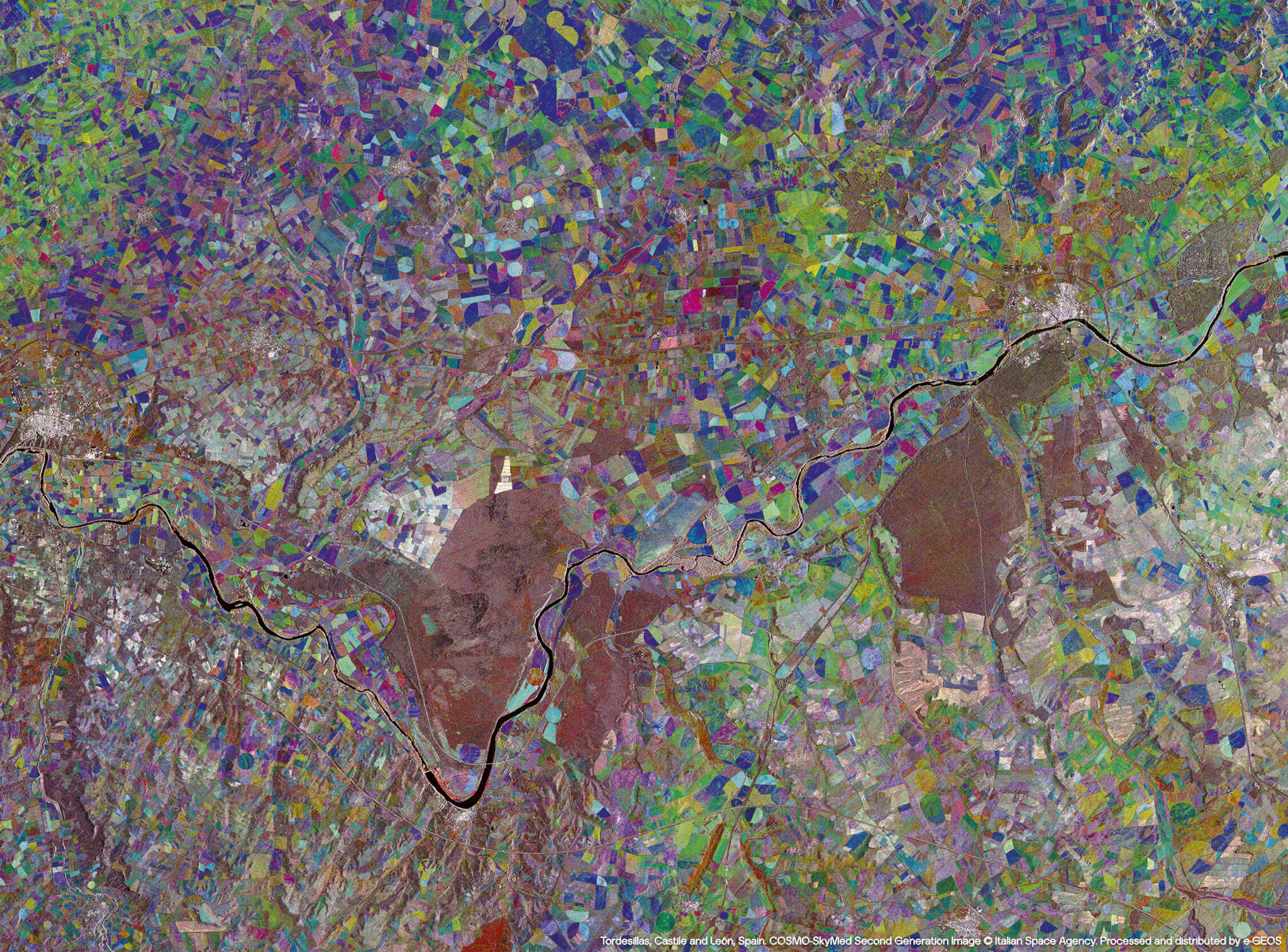 Love Planet Earth 2026: the Calendar on agriculture in the ...